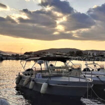 Agria Pelion - Magnesia (Greece) - PelioXenia